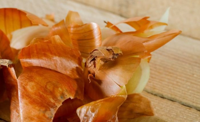 Discover the Incredible Uses of Baked Onion Skins – Organic Gardening ...