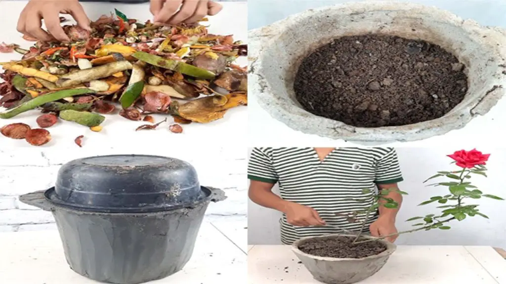 The Benefits of Composting Kitchen Waste: An Easy Path to Natural ...