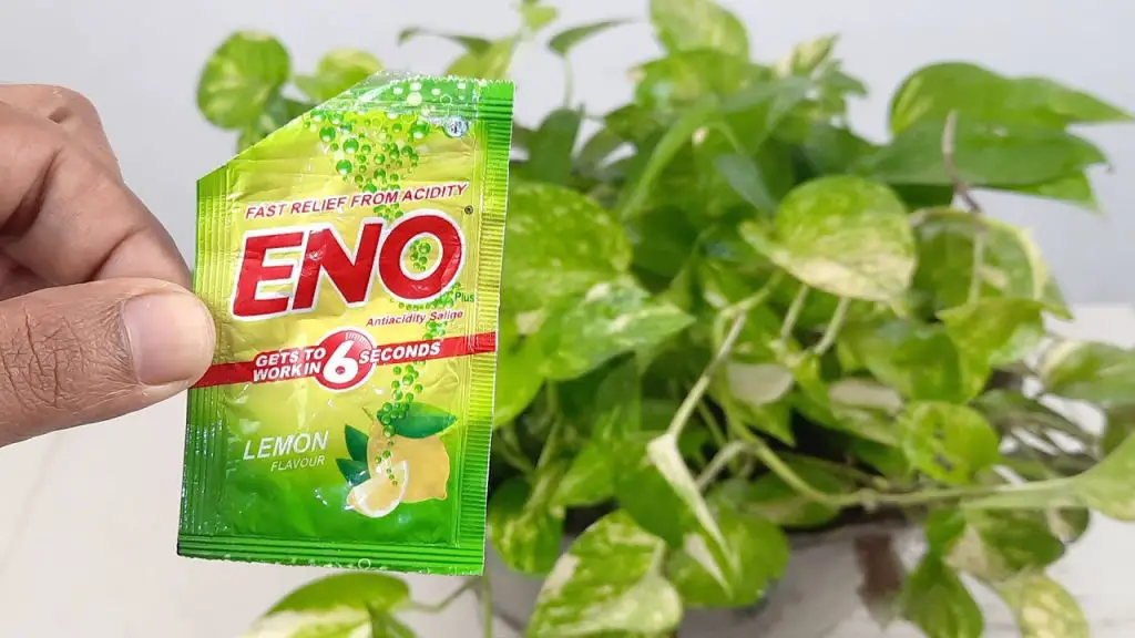 Amazing Homemade Fertilizer Using ENO | Boost Plant Growth Naturally ...